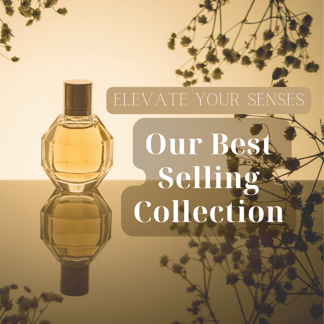 Perfume Collection Highlights: Best Sellers Edition | Intense Oud