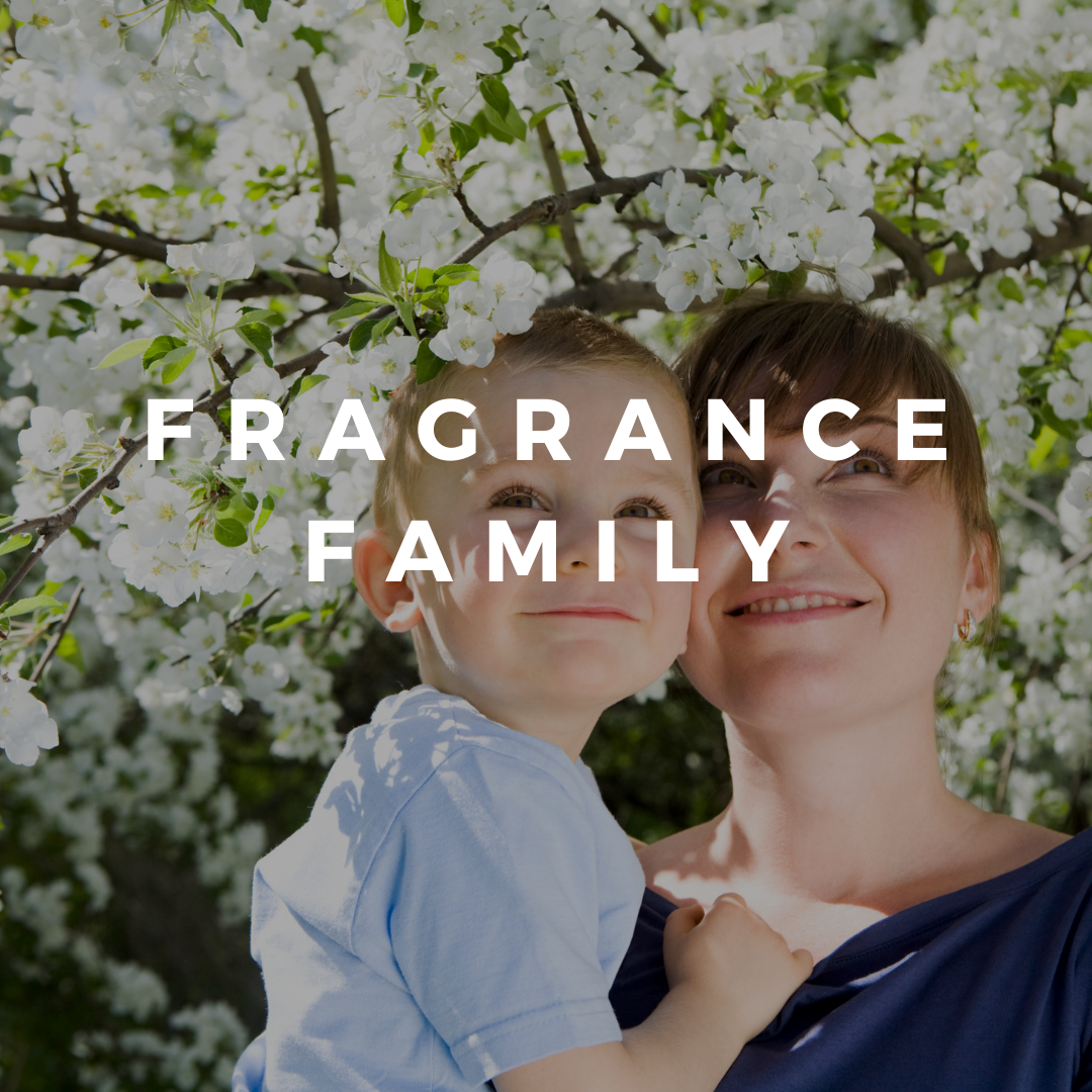 Fragrance Family | Intense Oud