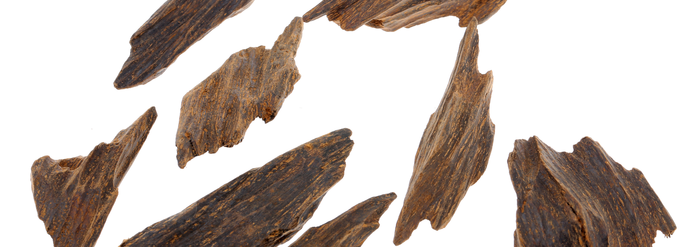 Oud Perfume Oil | Intense Oud