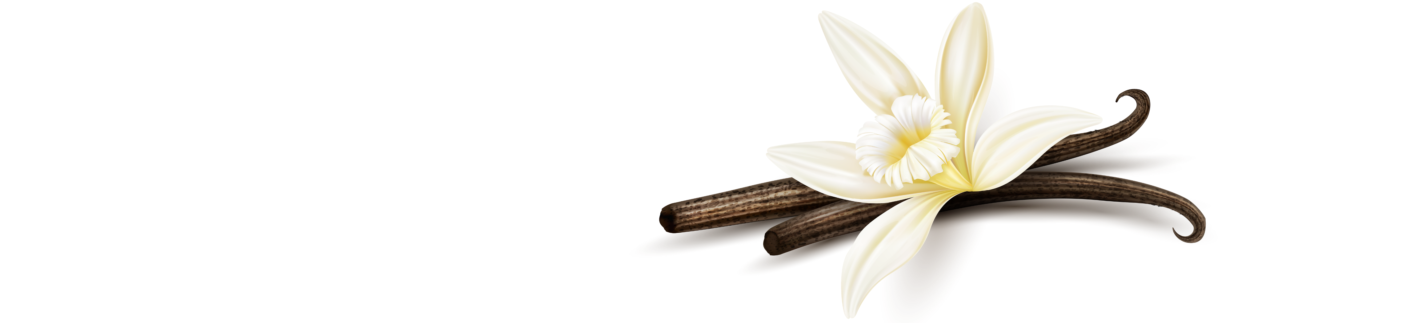 Vanilla Scents | Intense Oud