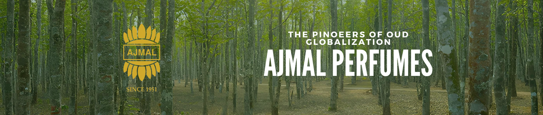 Ajmal - Meet the Manufacturer